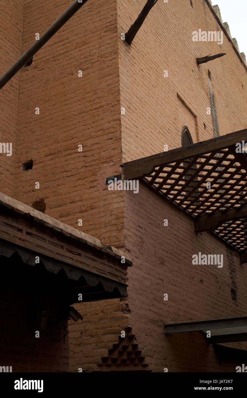 Snake cross section hi-res stock photography and images - Alamy