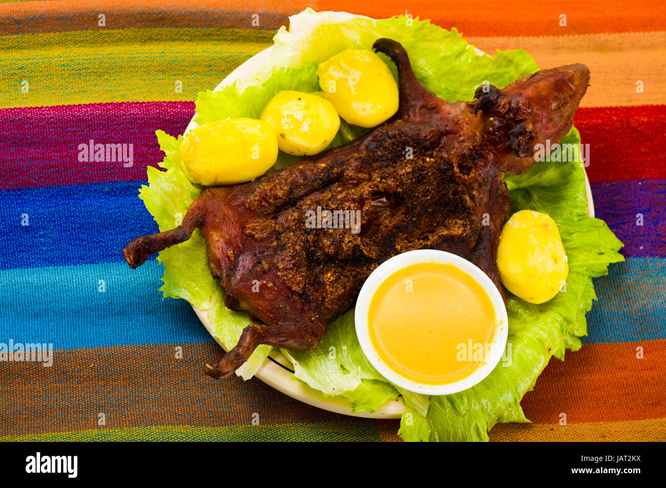 Traditional ecuadorian dish, grilled guinea pig spread out onto green ...