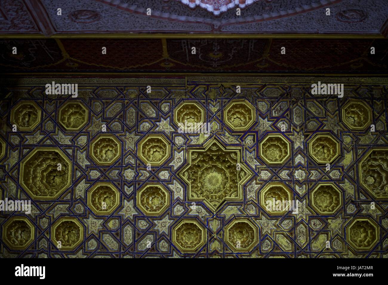 Snake cross section hi-res stock photography and images - Alamy