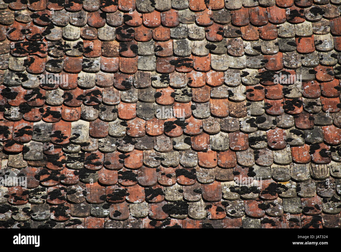 Beaver tail roof tile hi-res stock photography and images - Alamy