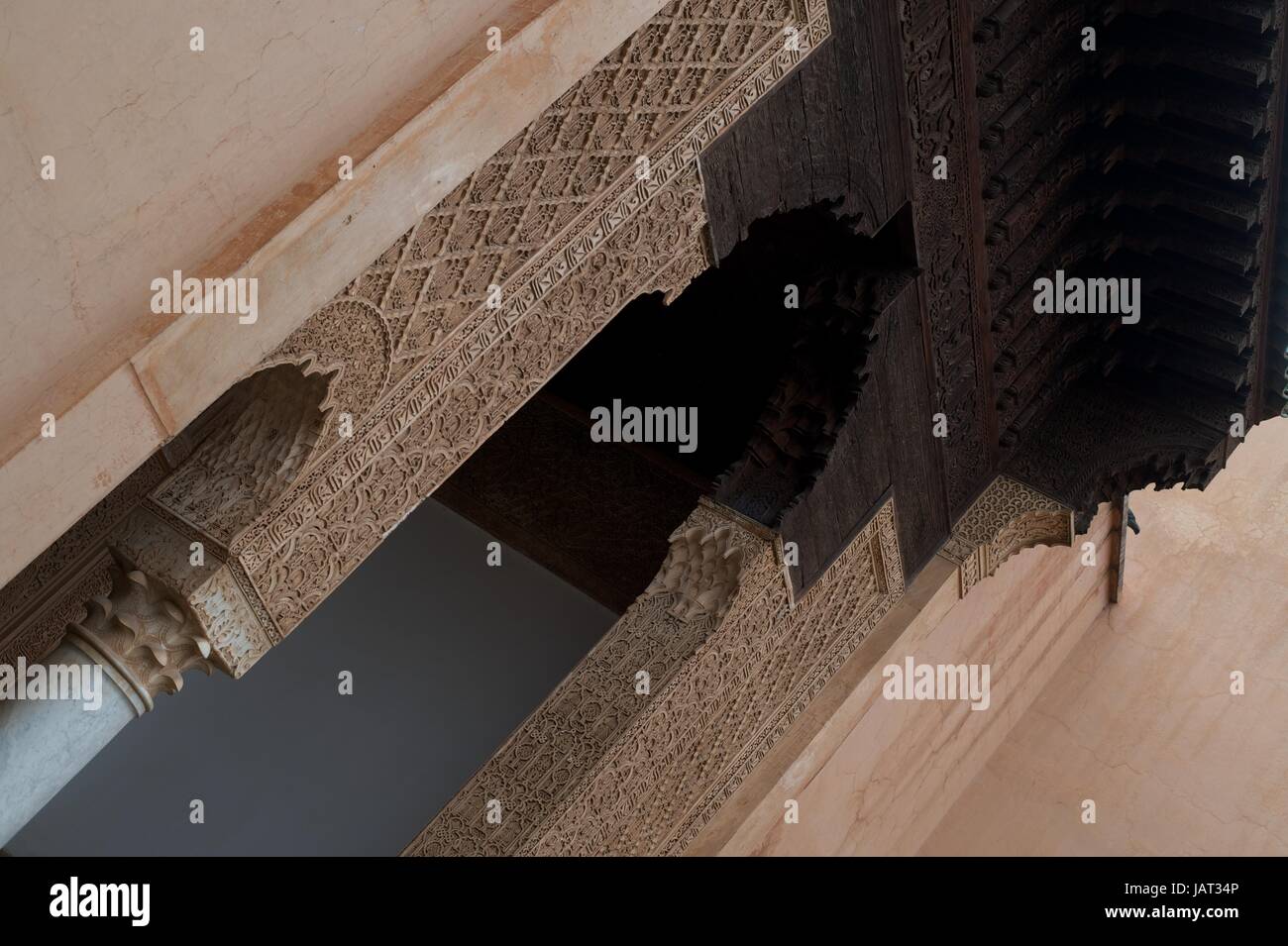 Snake cross section hi-res stock photography and images - Alamy
