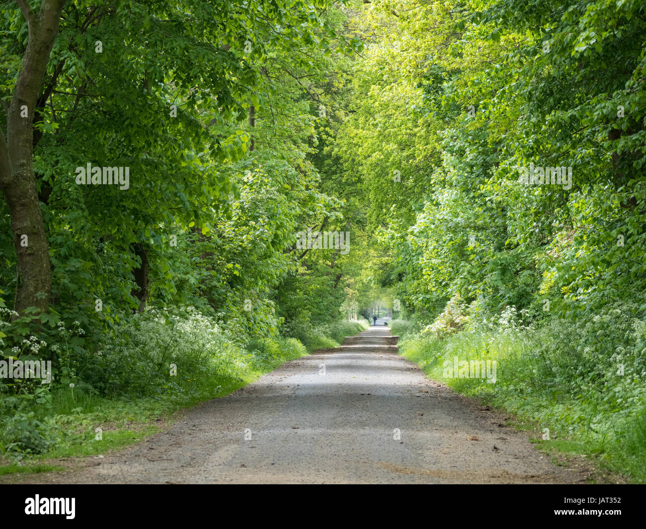 Perspective view man walking along hi-res stock photography and images ...