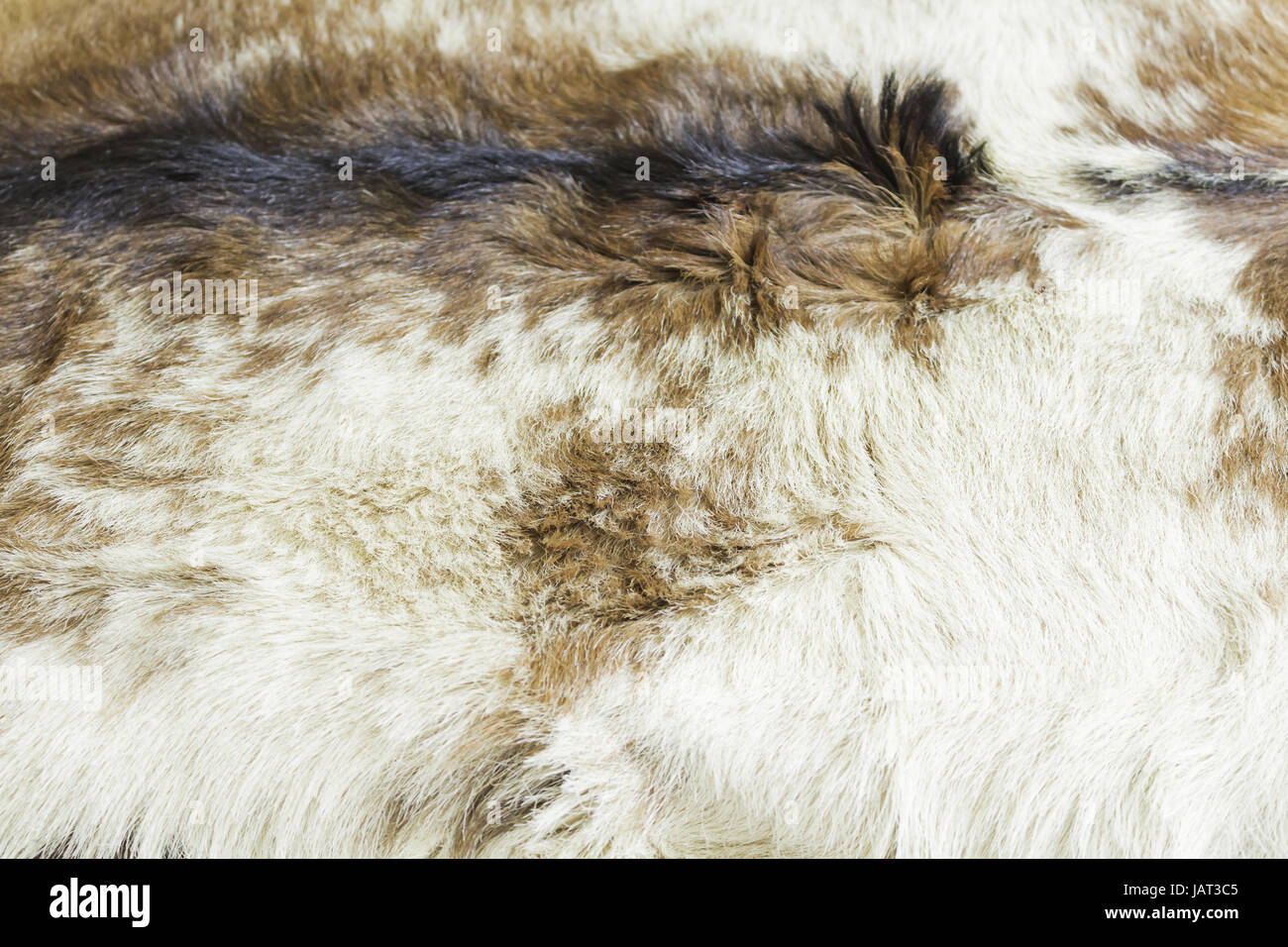 Goat hair texture hi-res stock photography and images - Alamy