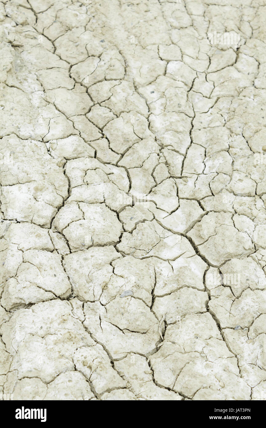 Earth cracks and grooves embossed in forest, nature Stock Photo - Alamy