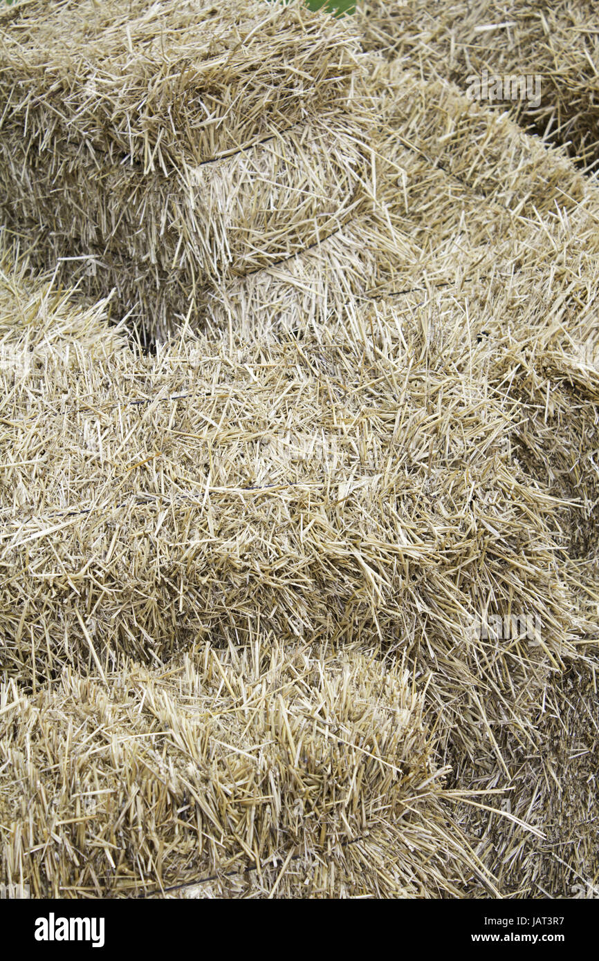 Straw haystack inside house, nature and nipples Stock Photo - Alamy