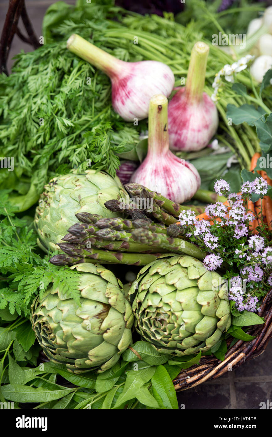 Basket of freshly picked vegetables including artichokes, garlic and ...