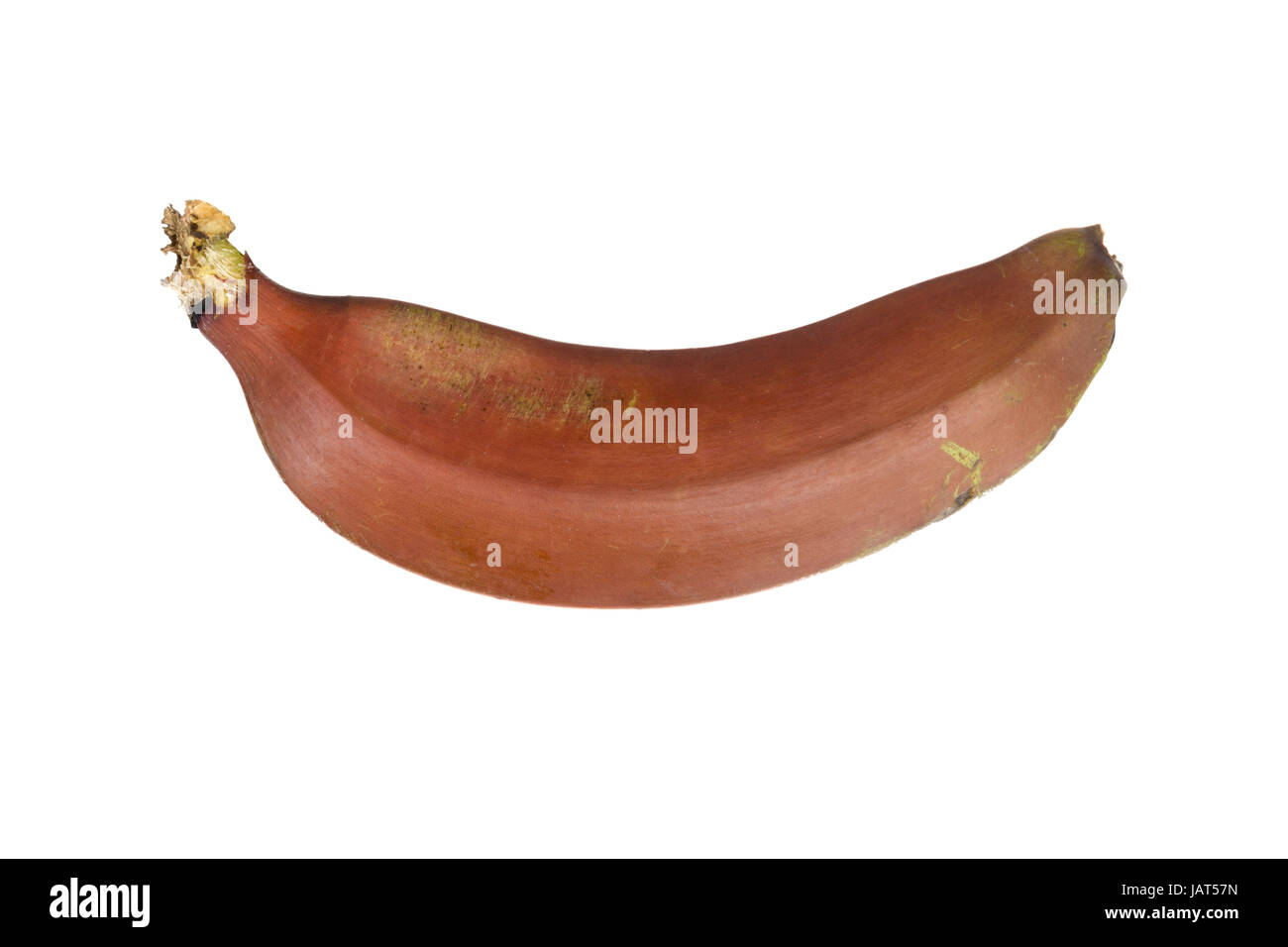 Banana red hi-res stock photography and images - Alamy