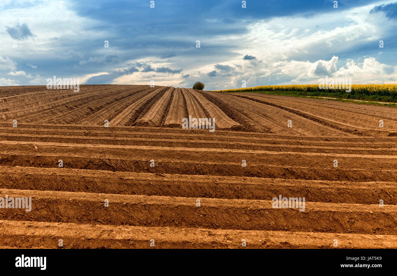 Uneven lines in a field by day Stock Photo - Alamy