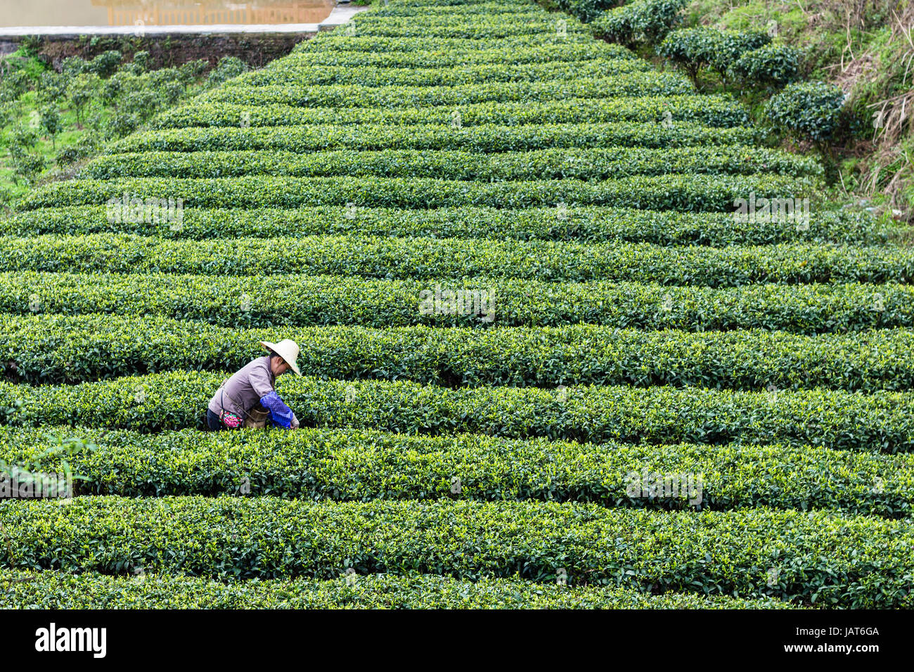 Chengyang district hi-res stock photography and images - Alamy