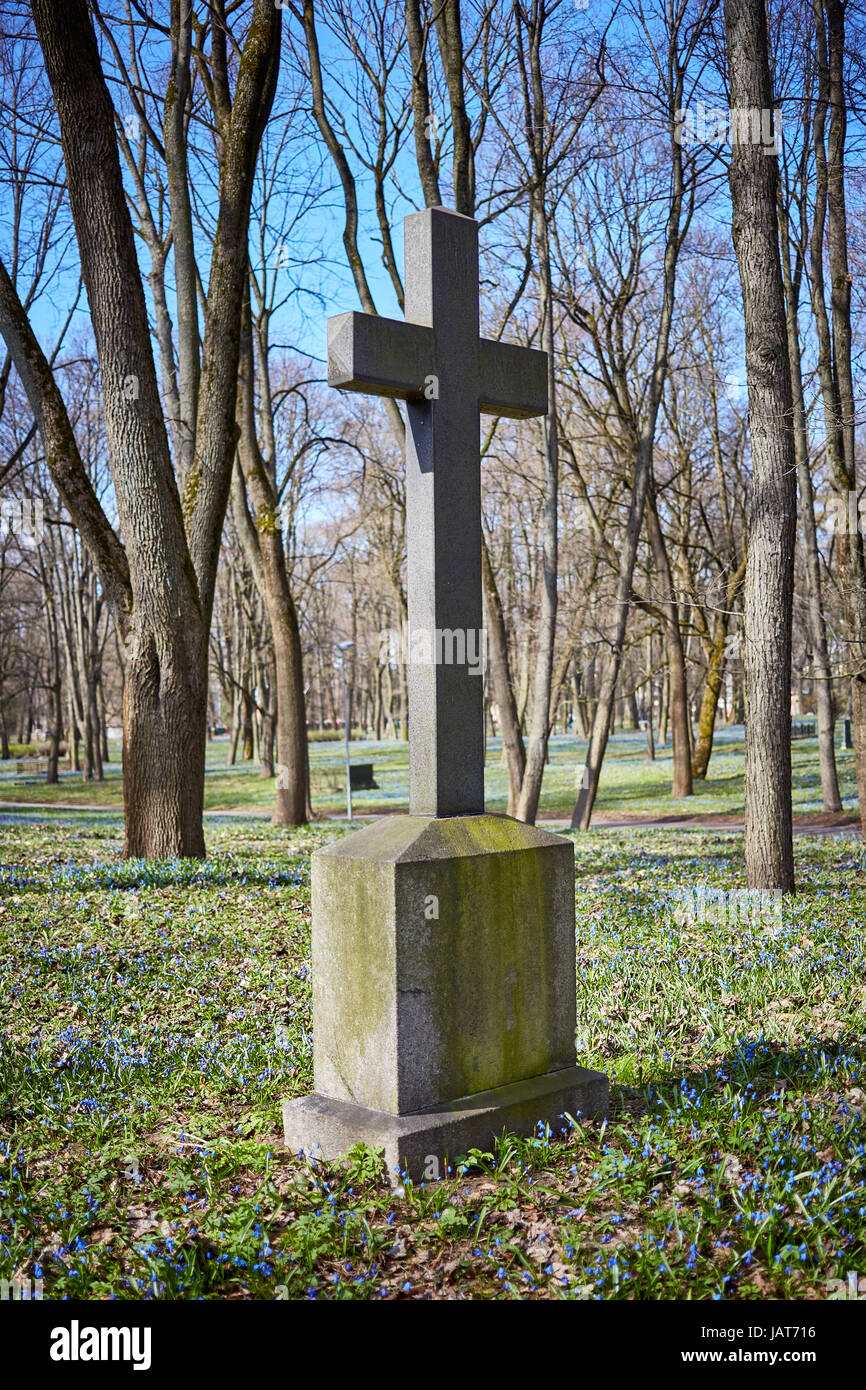 old historic cemetery cross and small blue wild flowers in springtime ...