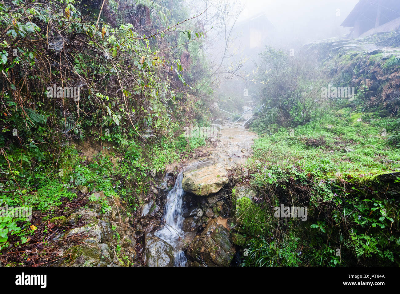 Stream terraces hi-res stock photography and images - Alamy