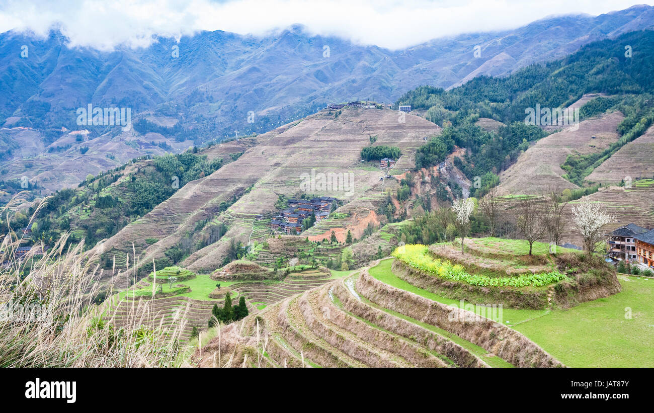 Ter viewpoint hi-res stock photography and images - Alamy