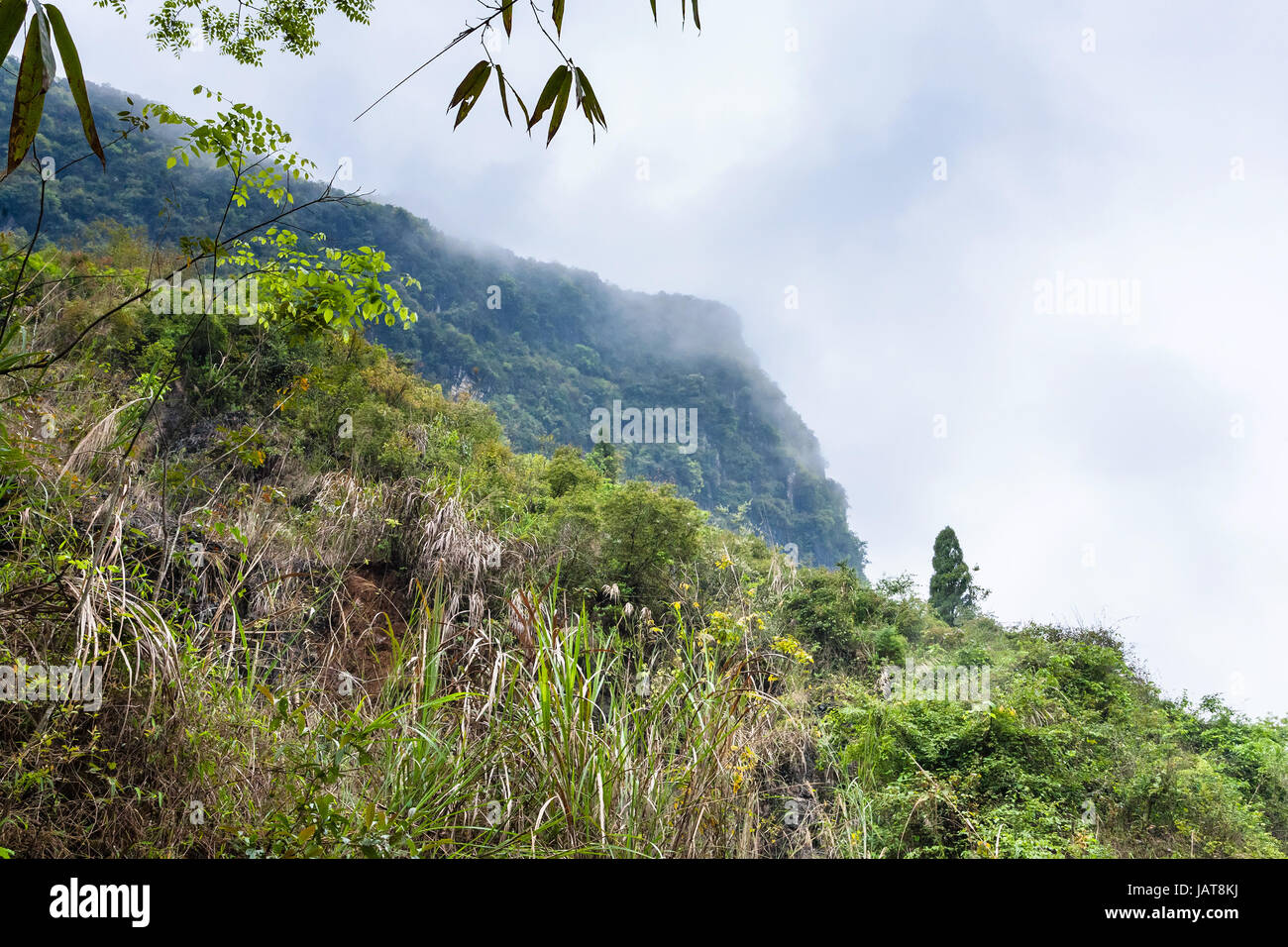 Karst slope hi-res stock photography and images - Alamy