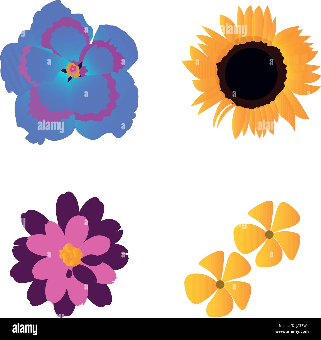 Set of colored flowers Stock Vector Image & Art - Alamy