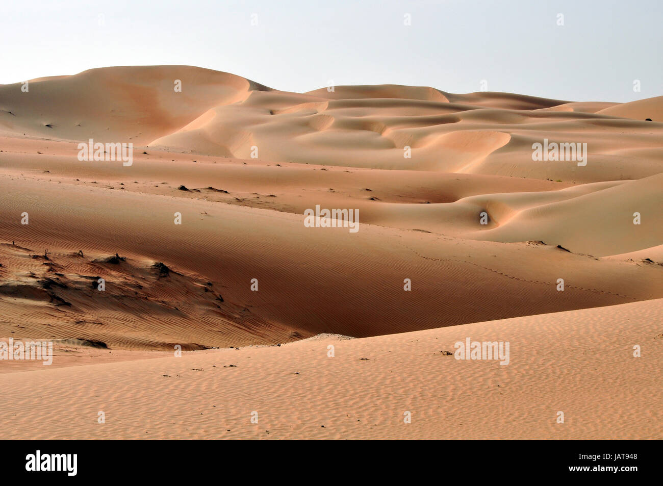 Wind-formed patterns in this collection of sand in the Arabian Desert ...
