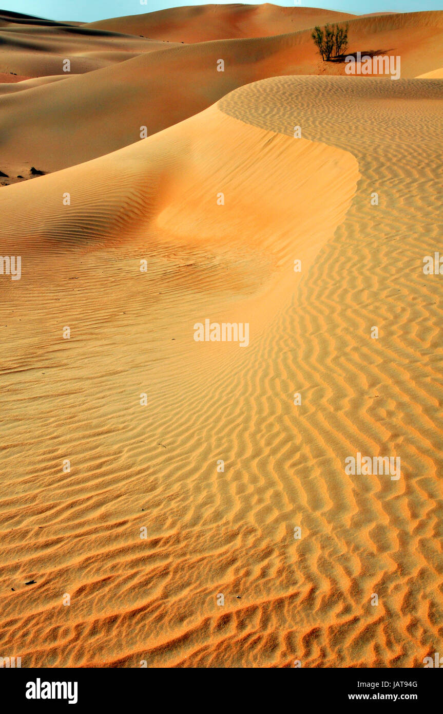 Wind-formed patterns in this collection of sand in the Arabian Desert ...