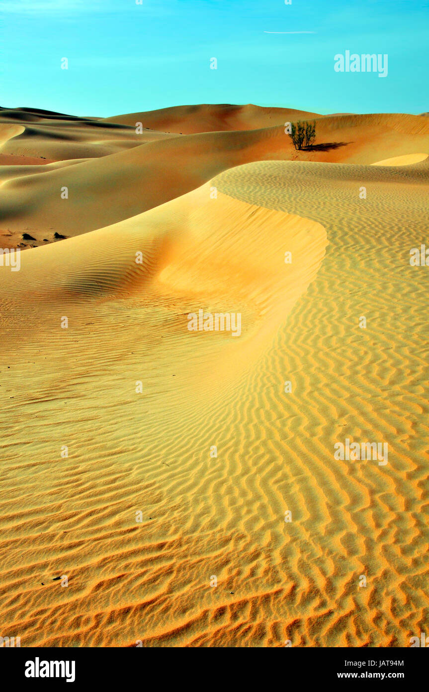 Wind-formed patterns in this collection of sand in the Arabian Desert ...