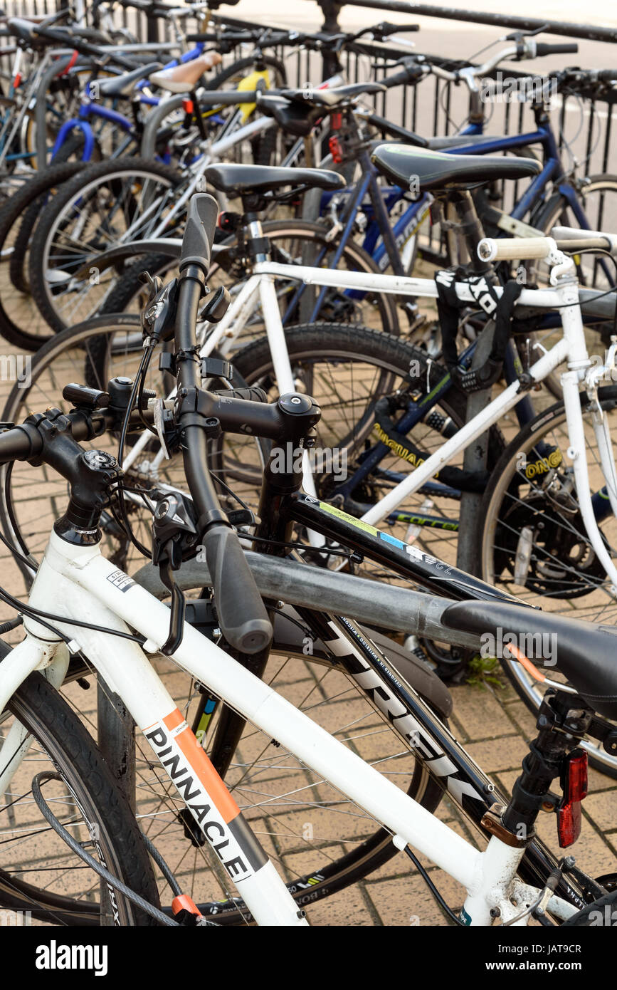 Rows of Commuter Bikes parked and locked to bike parking racks Stock ...