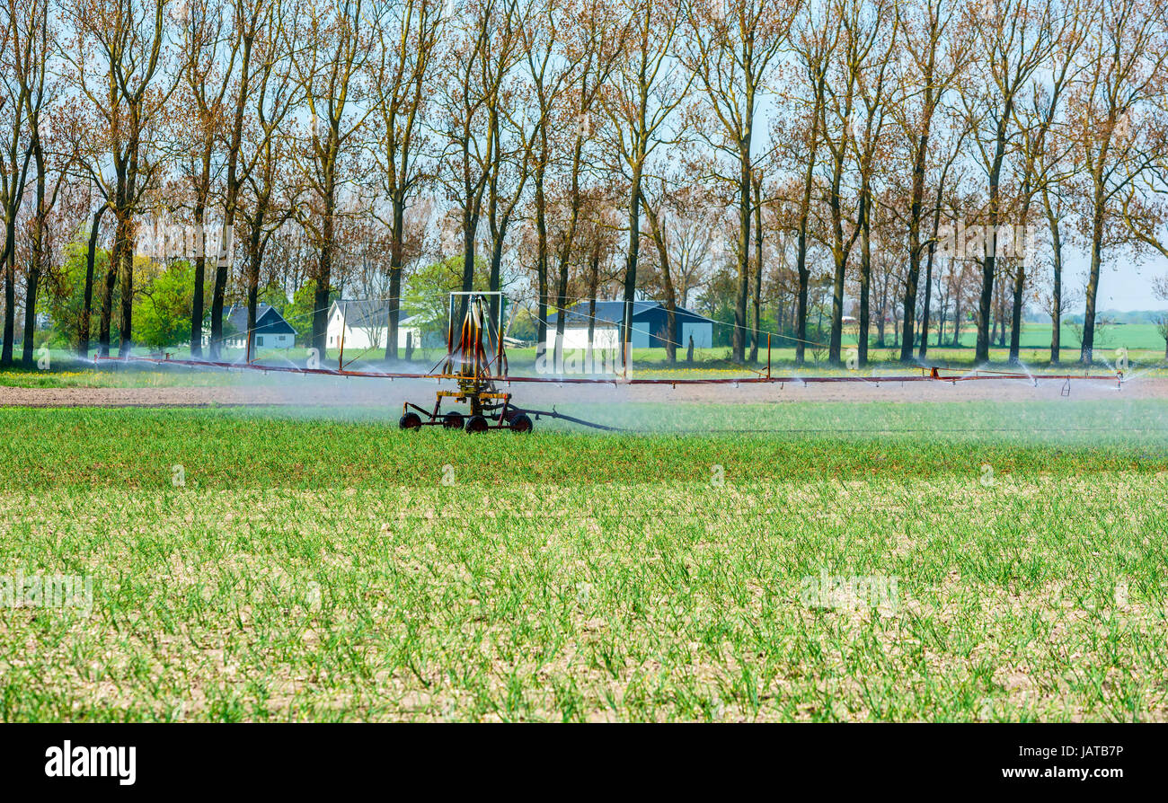 Mobile watering system on farmers field, spreading freshwater over the ...
