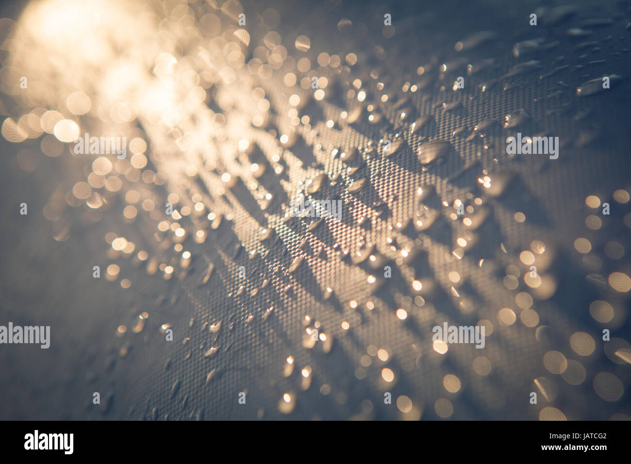 Spring light on car surface hi-res stock photography and images - Alamy