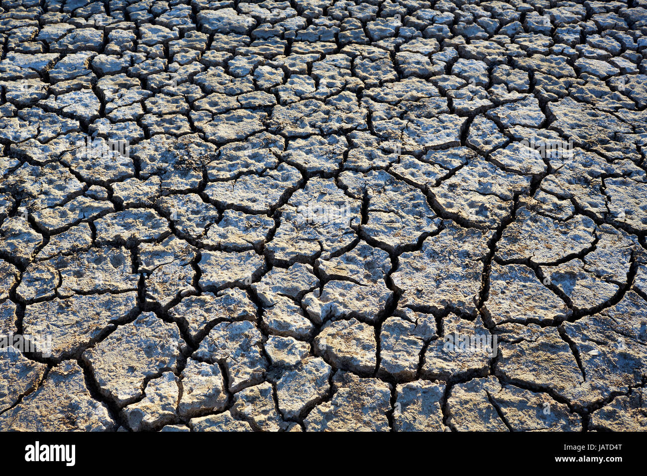 Mud starting to crack in bed of swamp or billibong near the Murray ...