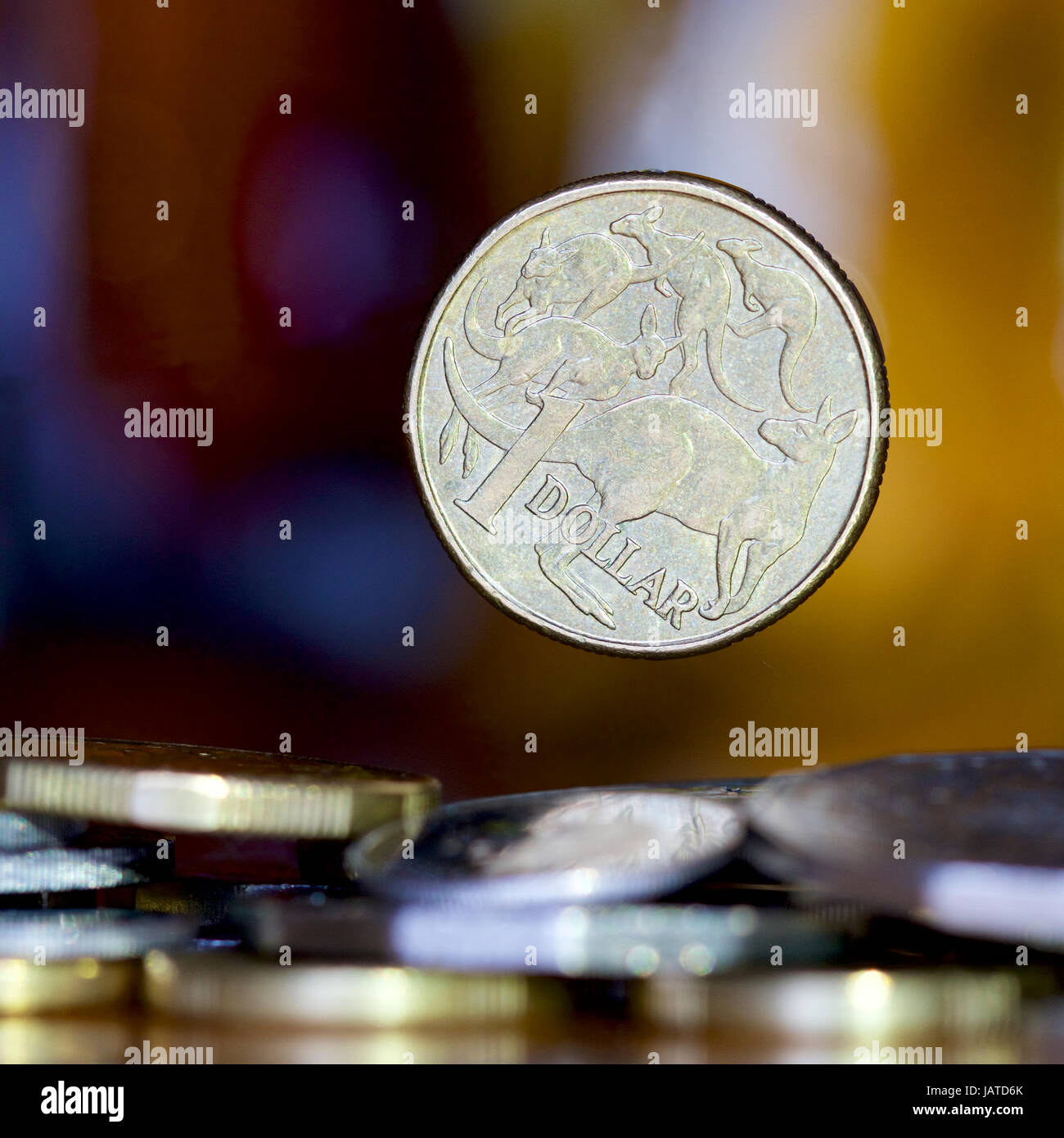 Australian Kangaroo Gold Coin High Resolution Stock Photography and ...