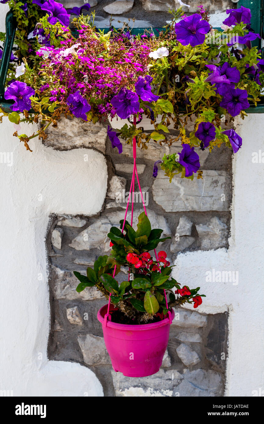 Colourful Flowers, Siana Village, Rhodes Stock Photo - Alamy