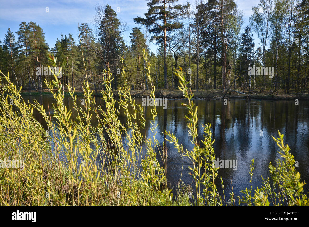 Spring river landscape. May, water and the first springs Stock Photo ...