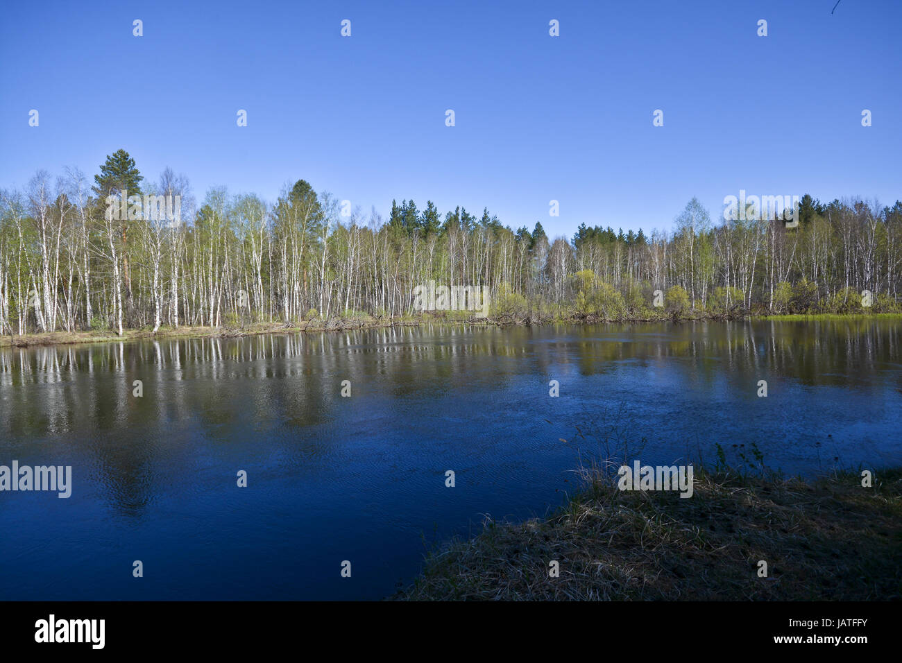 Springs spring season hi-res stock photography and images - Alamy