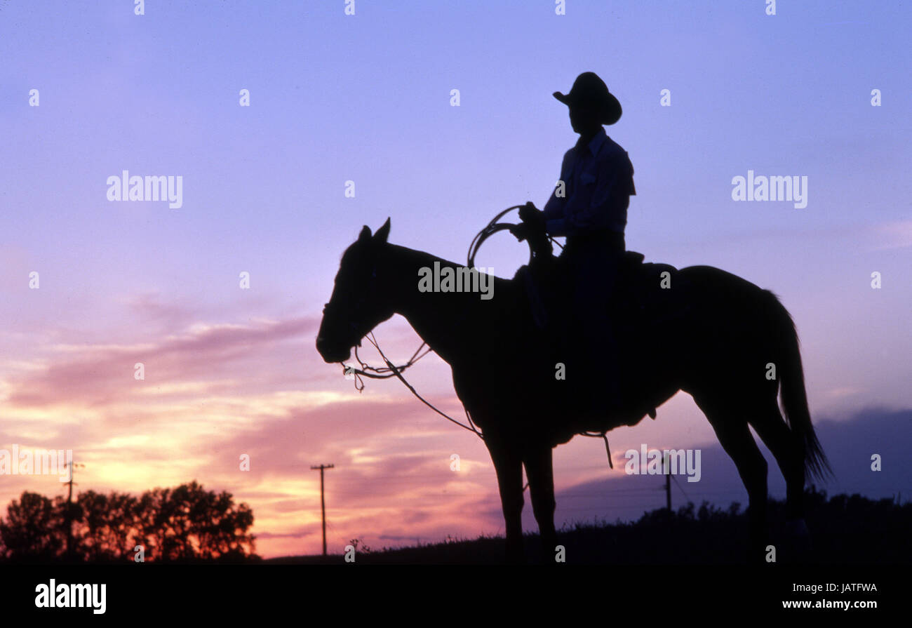Cowboy On Horse Sunset