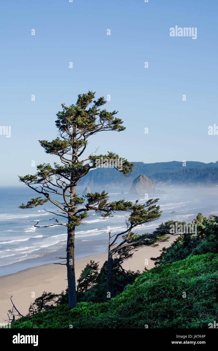 Ocean waves images hi-res stock photography and images - Alamy