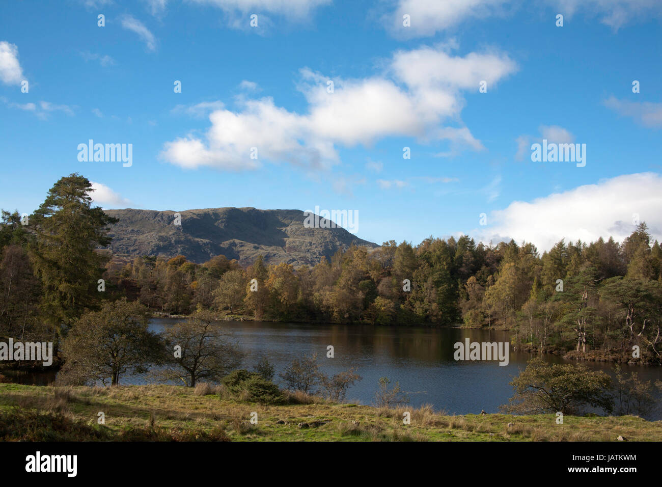Tarn Hows on a bright Autumn day Old Man of Coniston and Wetherlam in ...