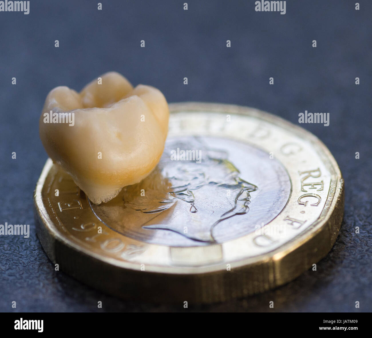 Tooth fairy hi-res stock photography and images - Alamy