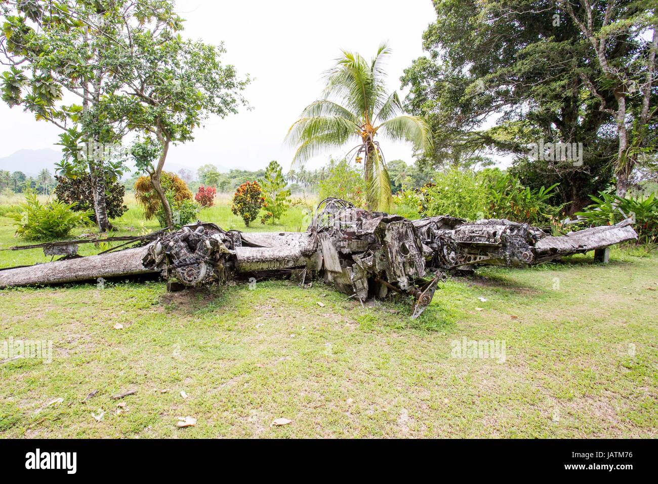 aircraft wreck in solomon islands jungle Stock Photo - Alamy