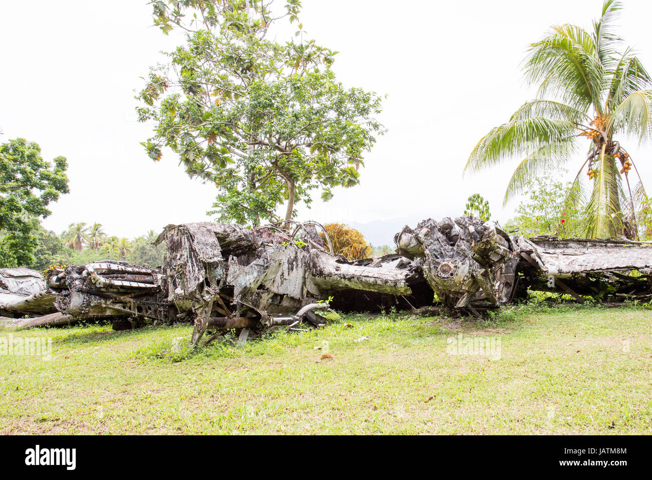 aircraft wreck in solomon islands jungle Stock Photo - Alamy