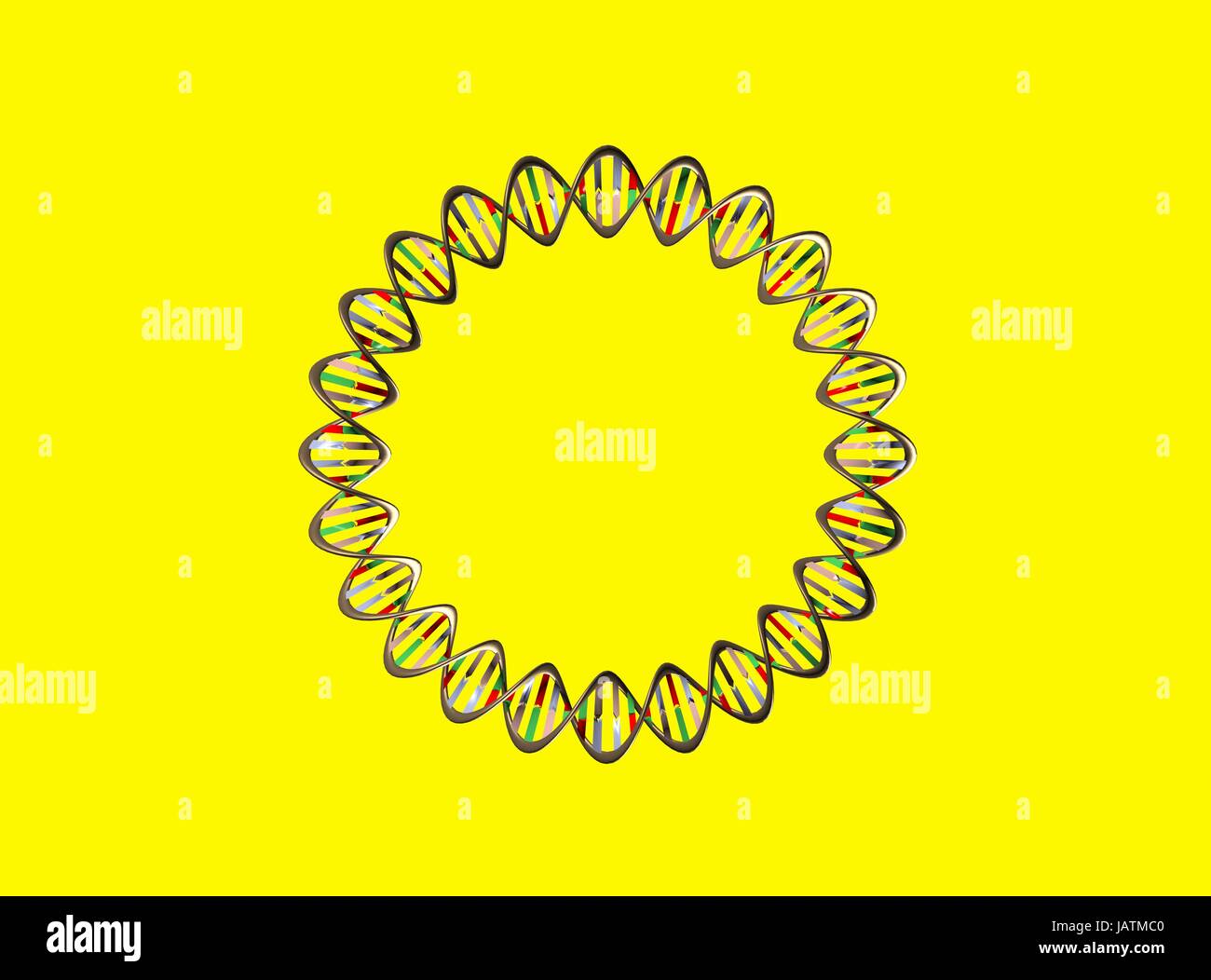 Plasmid hi-res stock photography and images - Alamy