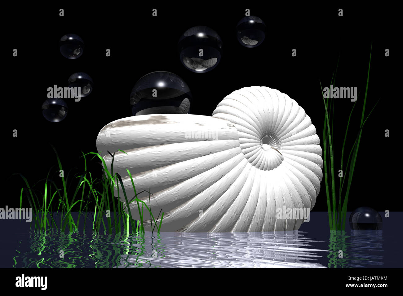 Deep sea worm hi-res stock photography and images - Alamy