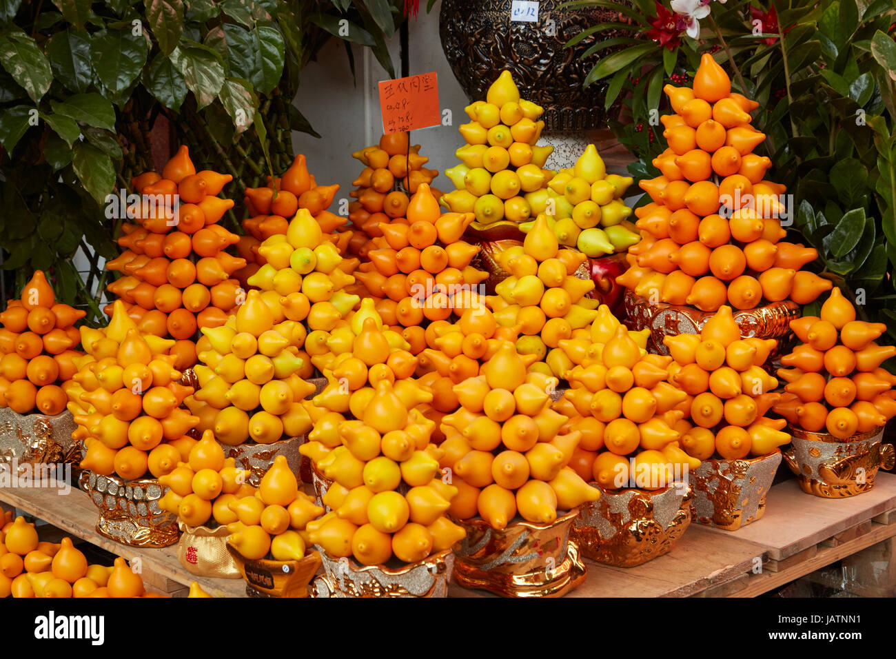 Citrus displays, Hong Kong Flower market, Mong Kok, Kowloon, Hong Kong ...