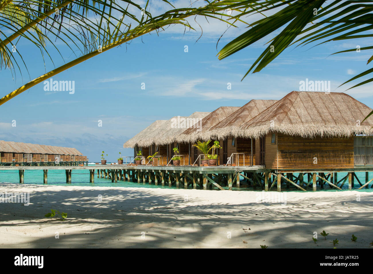 Typical Maldives resort water houses framed with palm tree Stock Photo ...