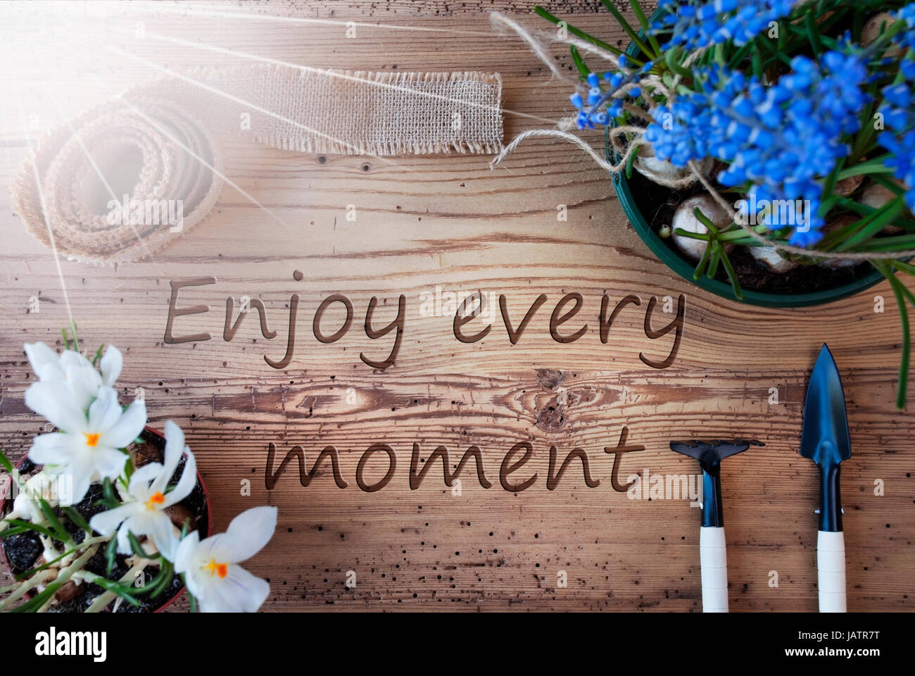 Sunny Spring Flowers, Quote Enjoy Every Moment Stock Photo - Alamy