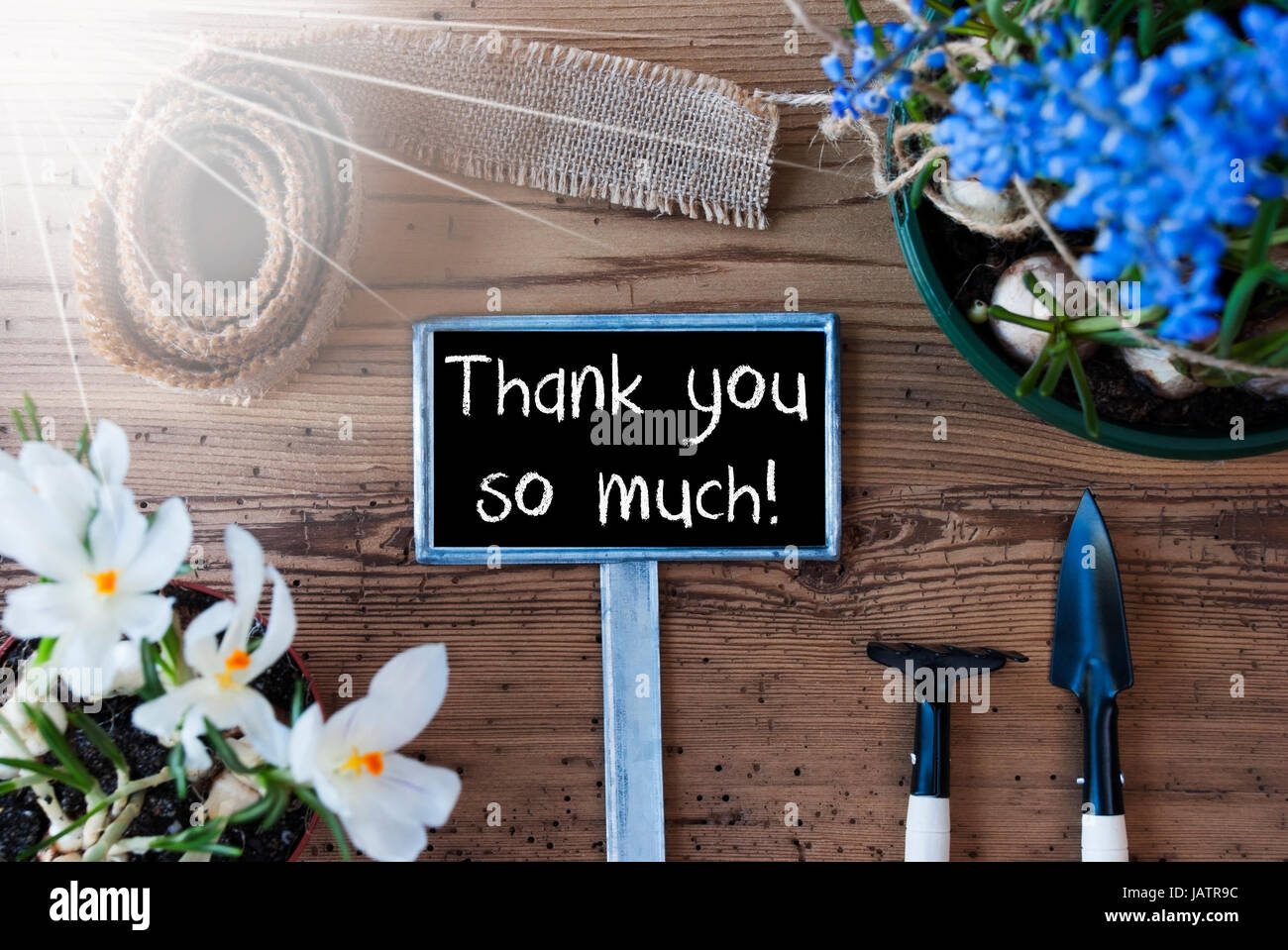 Sunny Spring Flowers, Sign, Text Thank You So Much Stock Photo - Alamy