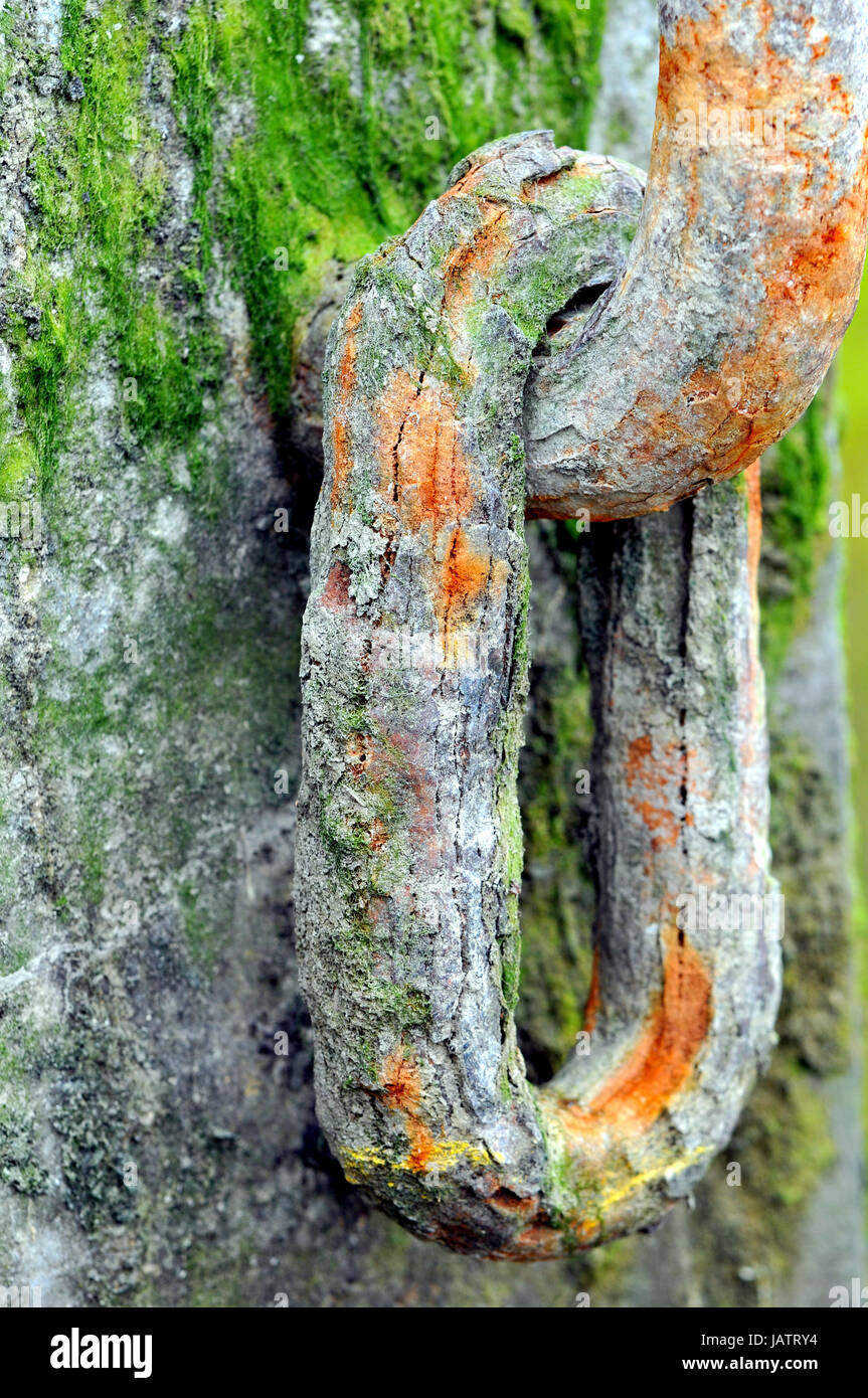 rusted fastening eye Stock Photo - Alamy