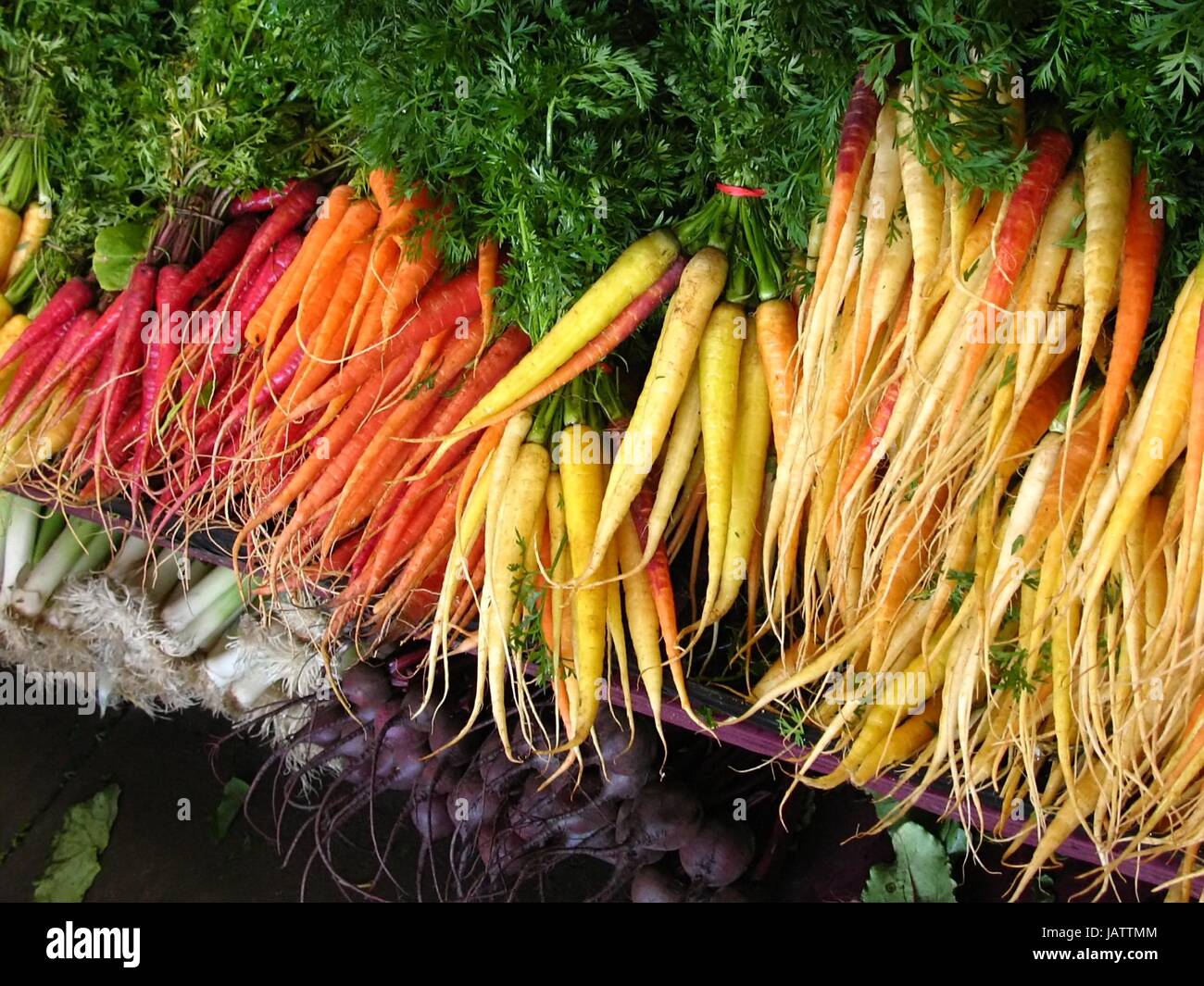 Multi-colored carrots and other root vegetables at farmers' market ...
