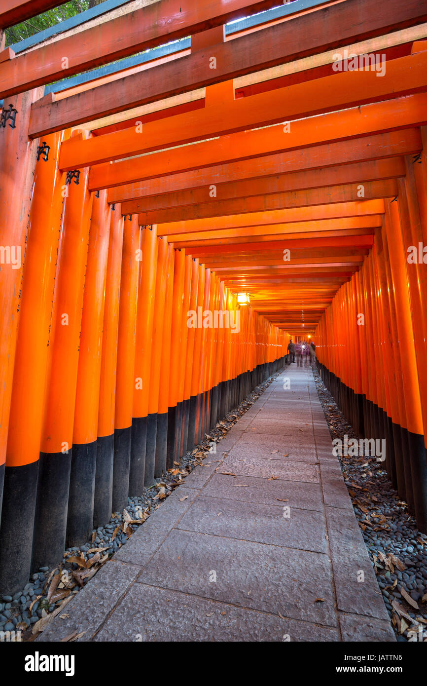 Thousands of vermilion torii gates at Fushimi Inari Taisha Shrine in ...