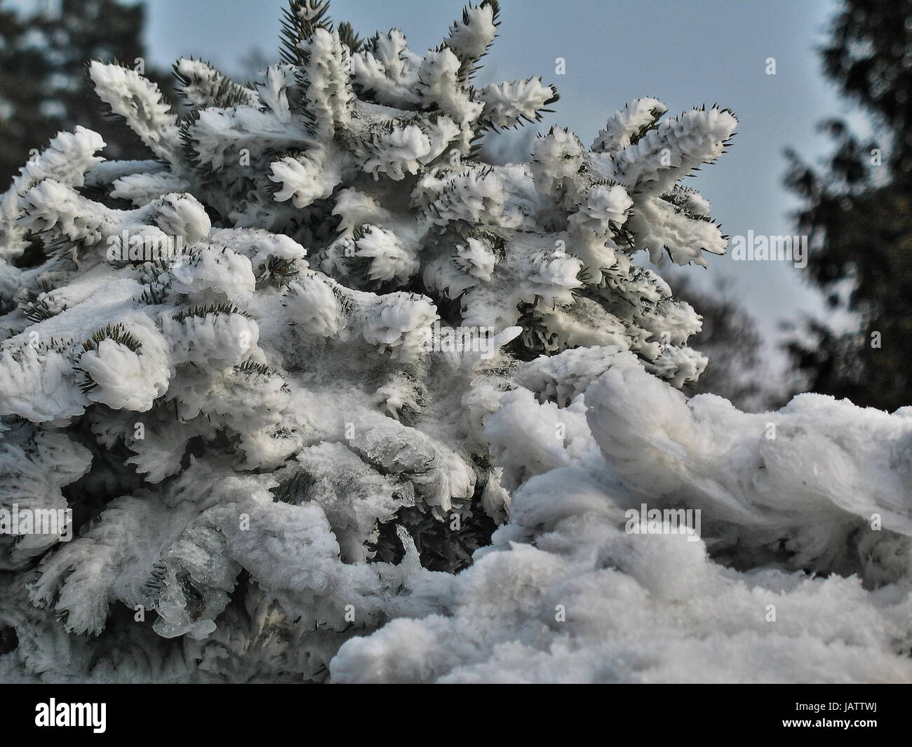 Light long perspective view nature and snow in winter hi-res stock ...