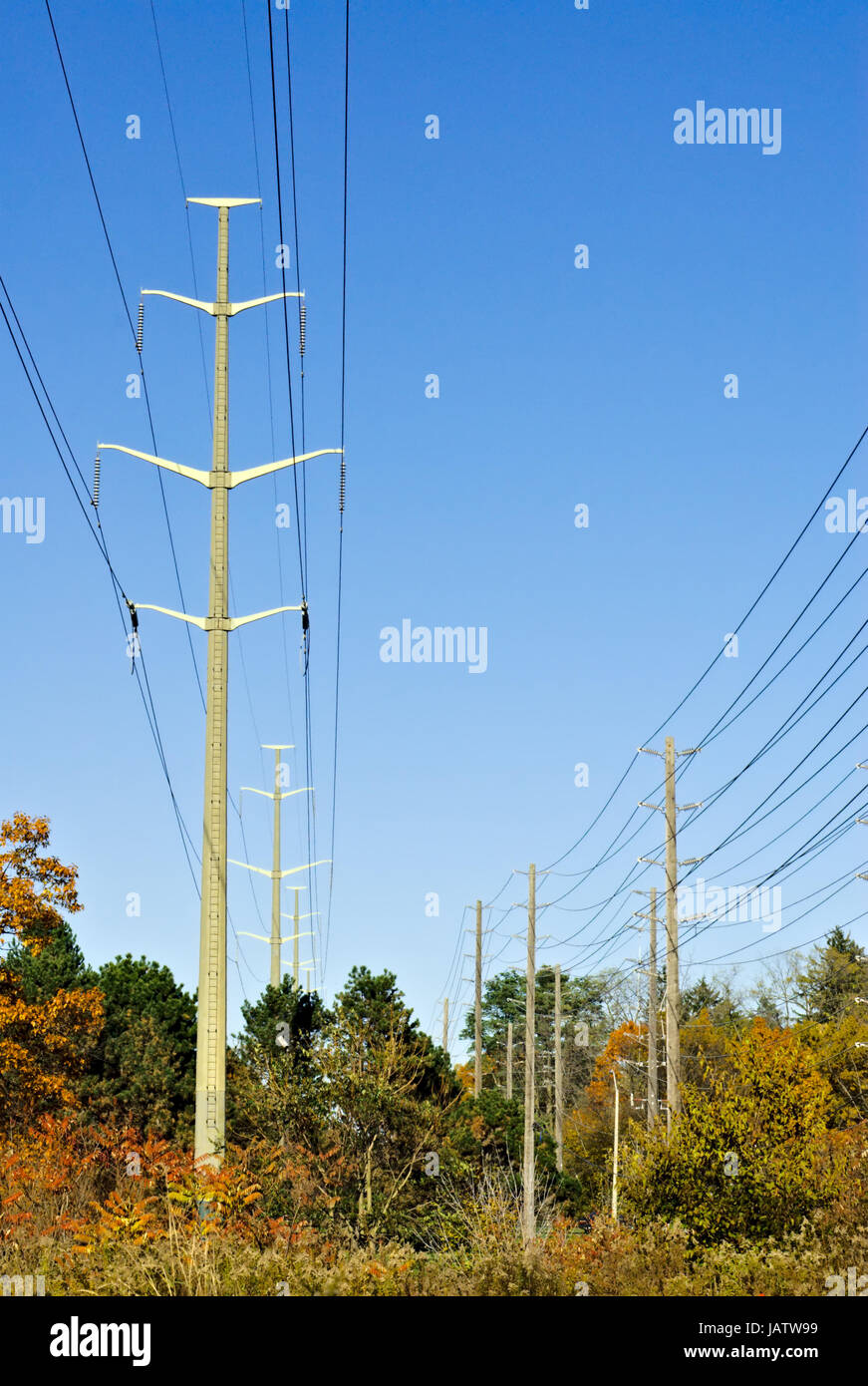 Two lines of electrical towers passing through autumn forest Stock ...