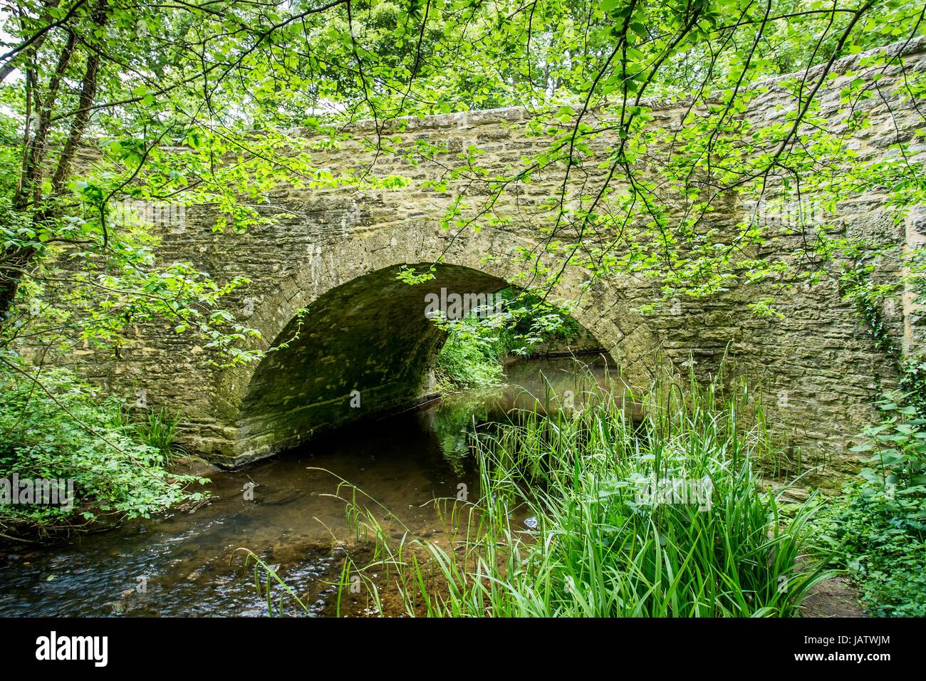 bridge over forest stream england Stock Photo - Alamy