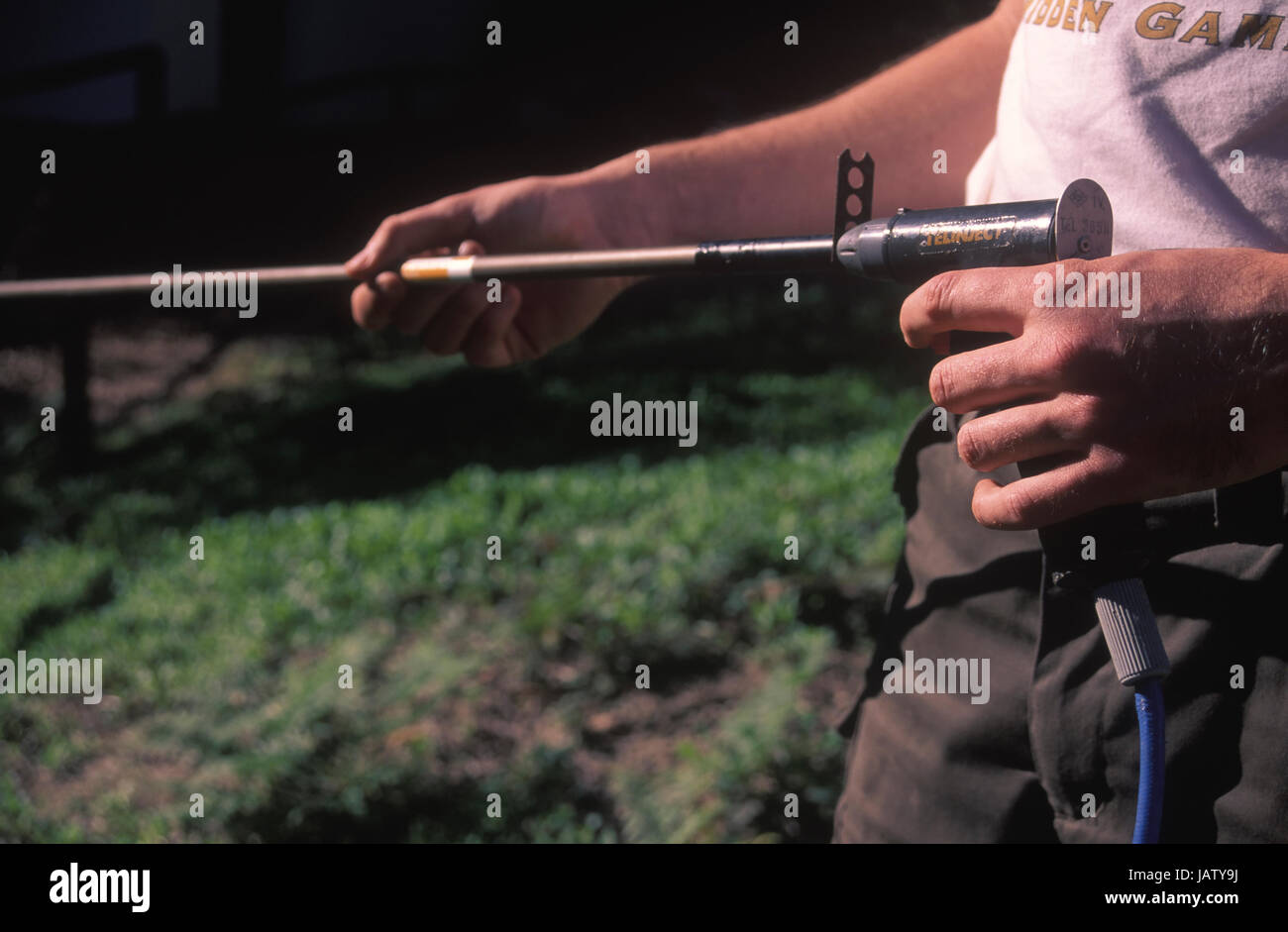 Wolf Gun High Resolution Stock Photography and Images - Alamy