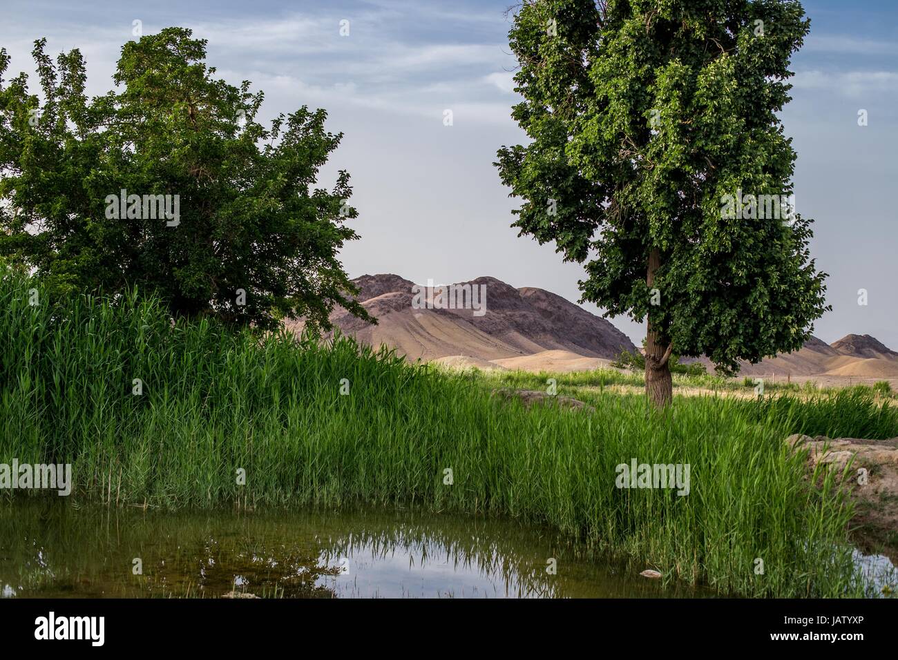 desert oasis iran mountain background Stock Photo - Alamy