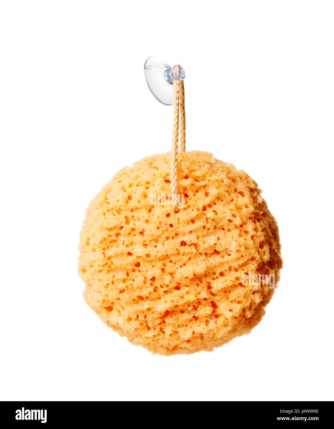 Sponge on a rope isolated on white background Stock Photo - Alamy